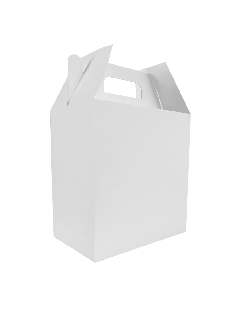 Caja Grande Tipo Box Lunch Color Blanco